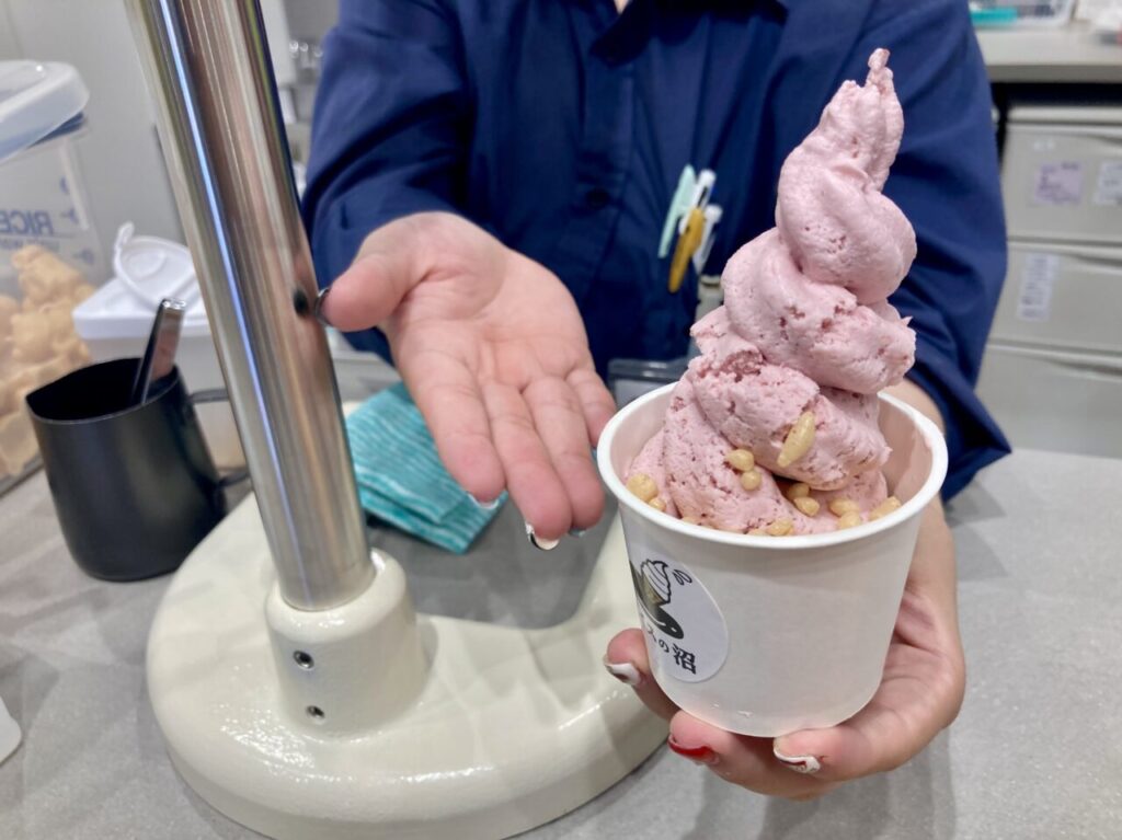 【台東区】7月18日（金）浅草1丁目・伝法院通りに「アイスの沼（GELATO LABO ASAKUSA by Rex Very）」がオープンし ...